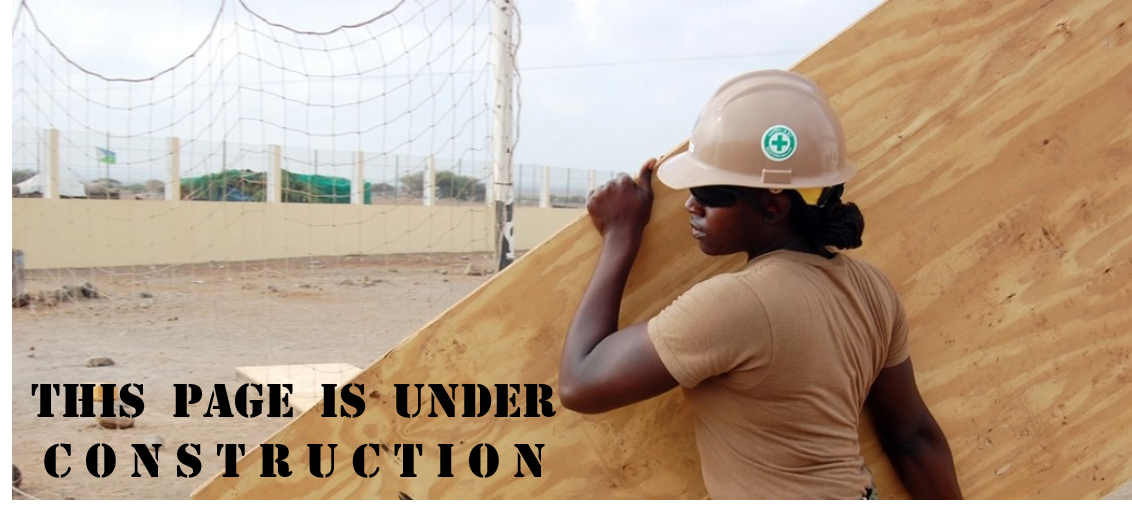 Naval Facilities Engineering Systems Command > Careers